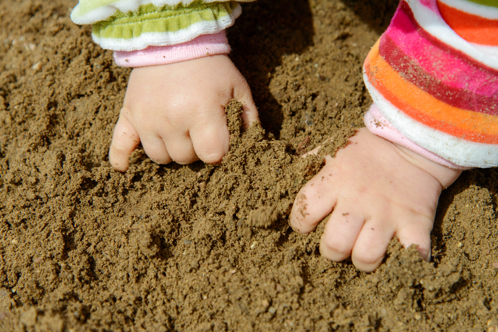 Toxocaroza – tot ce trebuie să ştii - REVISTA BABY: Pentru părinti și copii