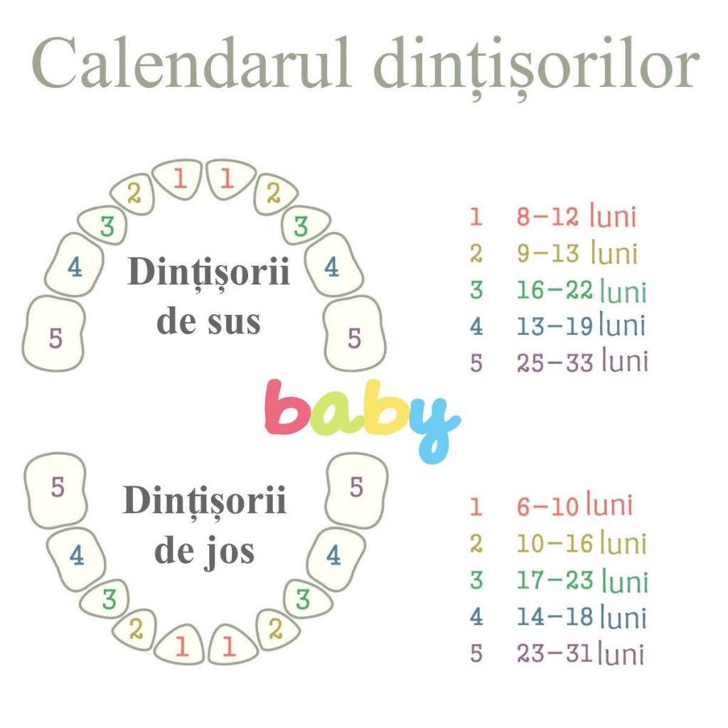 Cum știi dacă îi ies dințișorii | REVISTA BABY: Pentru părinti și copii
