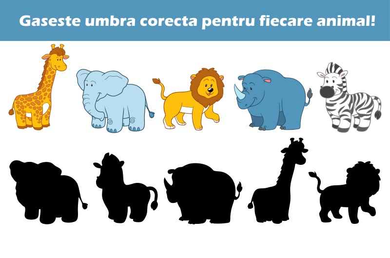 Gaseste umbra potrivita pentru fiecare animal - REVISTA BABY: Pentru ...