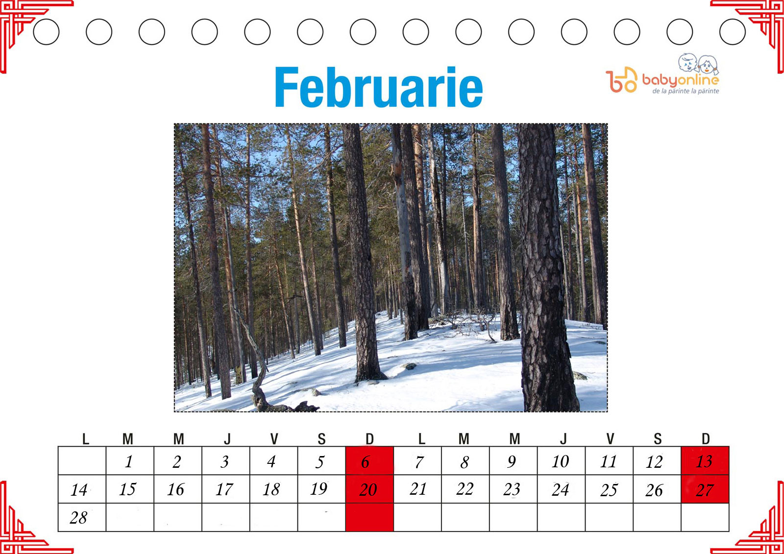 Februarie - REVISTA BABY: Pentru părinti și copii